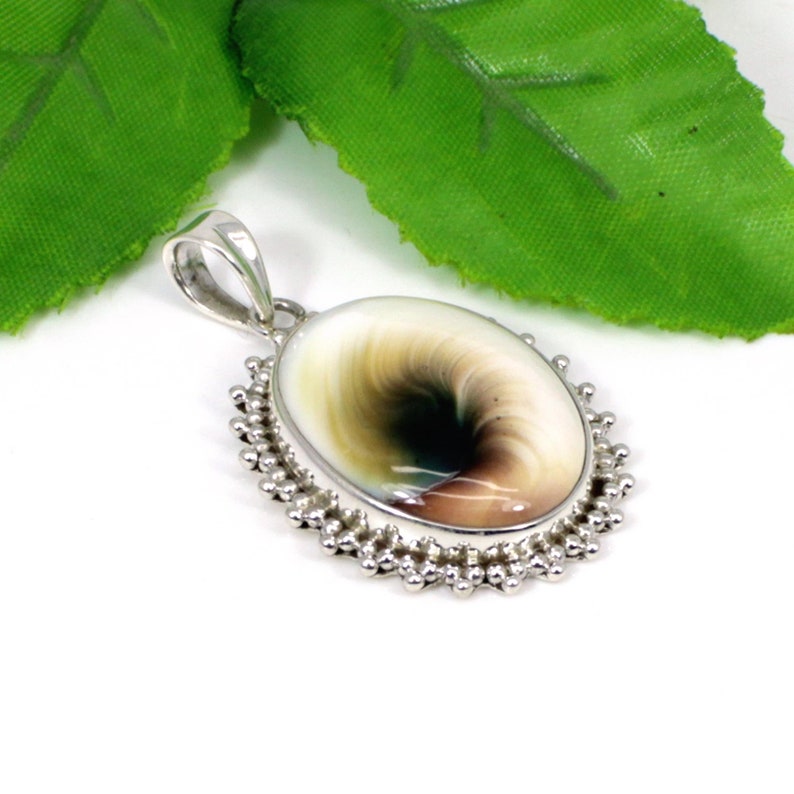 Natural Shiva Eye Shellshiva Eye Sterling Silver | Etsy