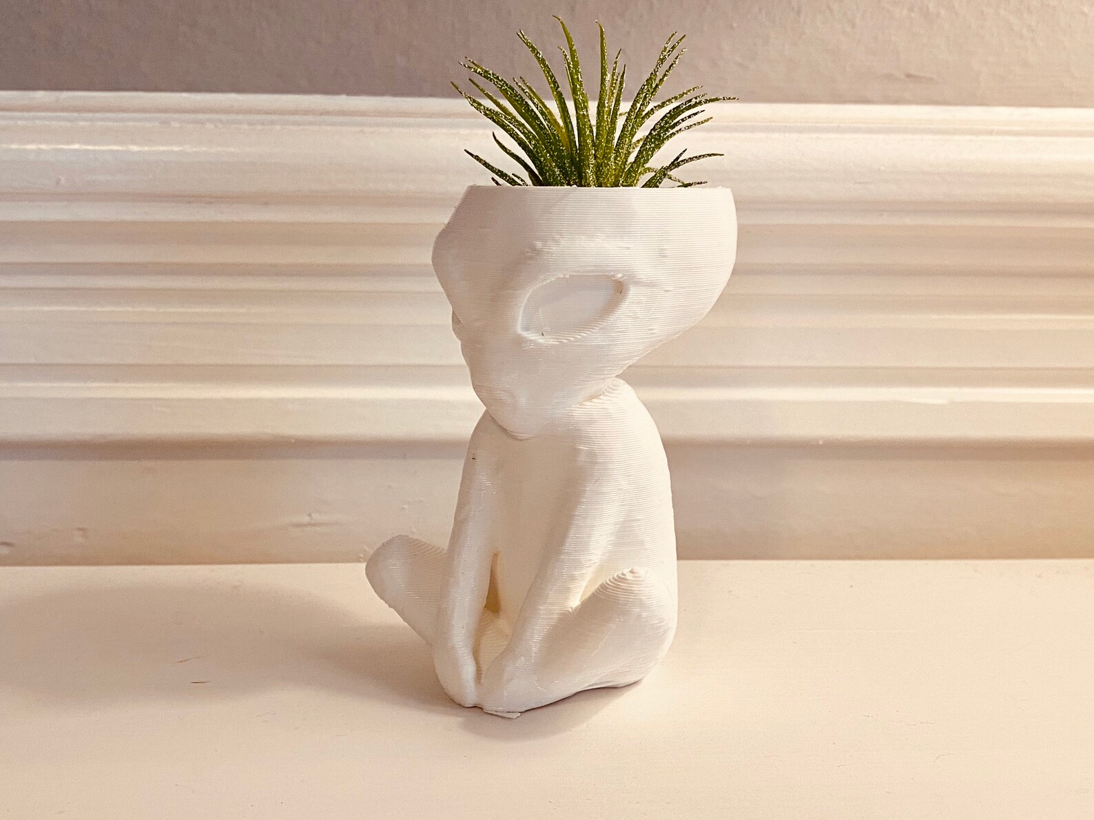 Grumpy Alien Air Plant Holder / Airplant Pot. Unique Gift. | Etsy