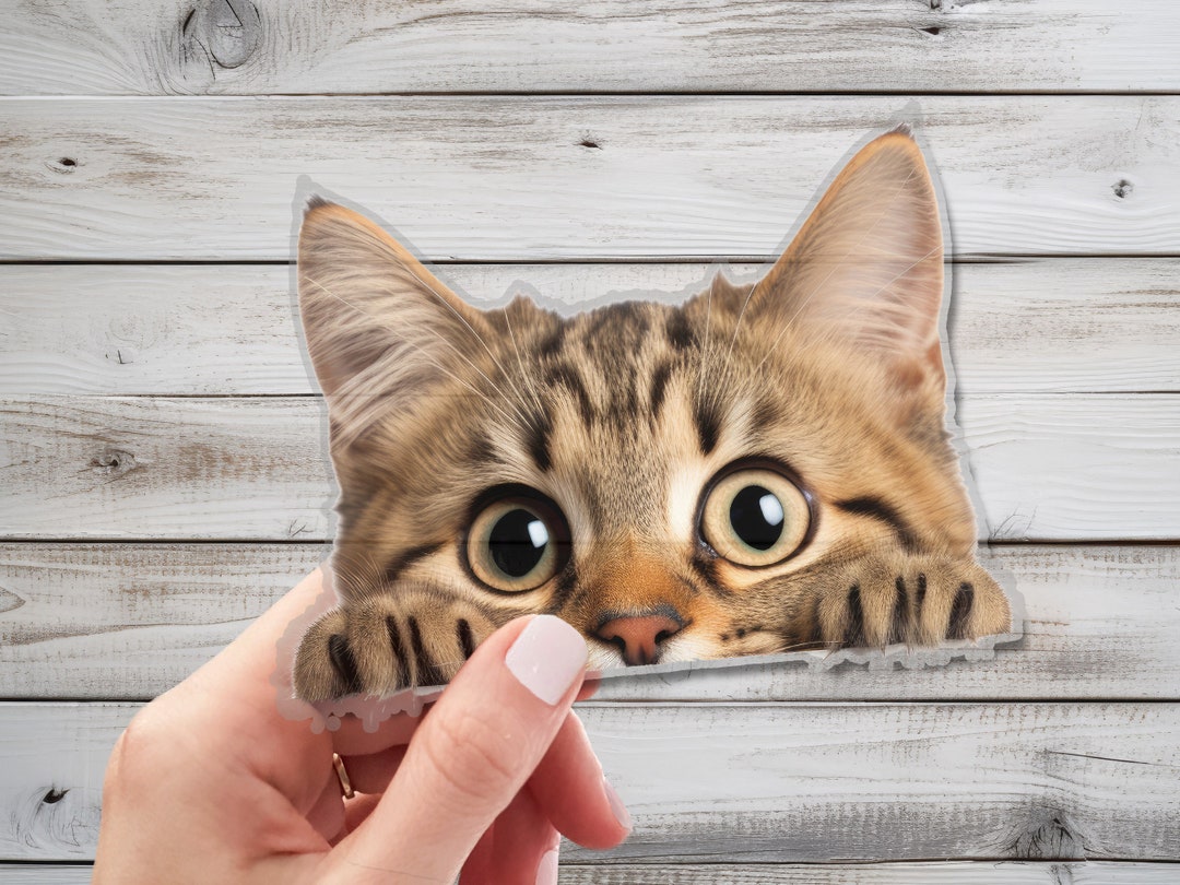 Cute Peeking Cat Wall Decal - Enchanting Wall Decor for Cat Lovers ...