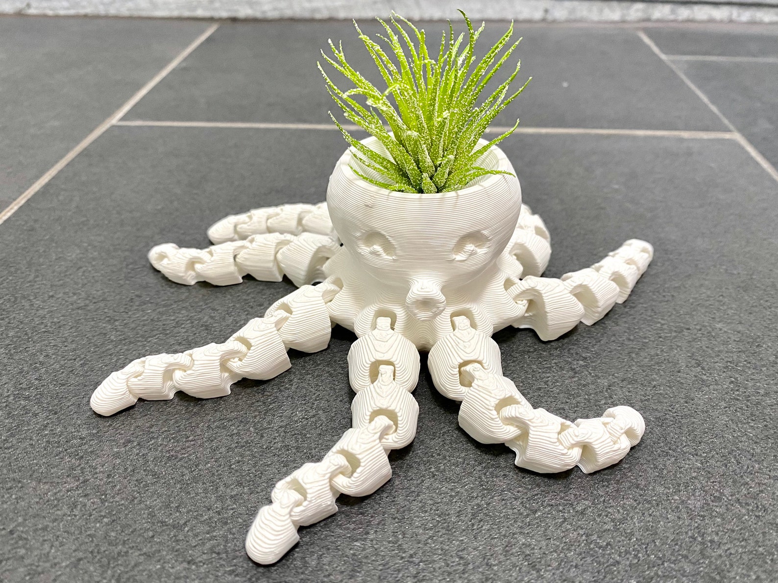 OCTOPUS PLANTER, AIR Plant Planter, Houseplant White Animal Succulent ...