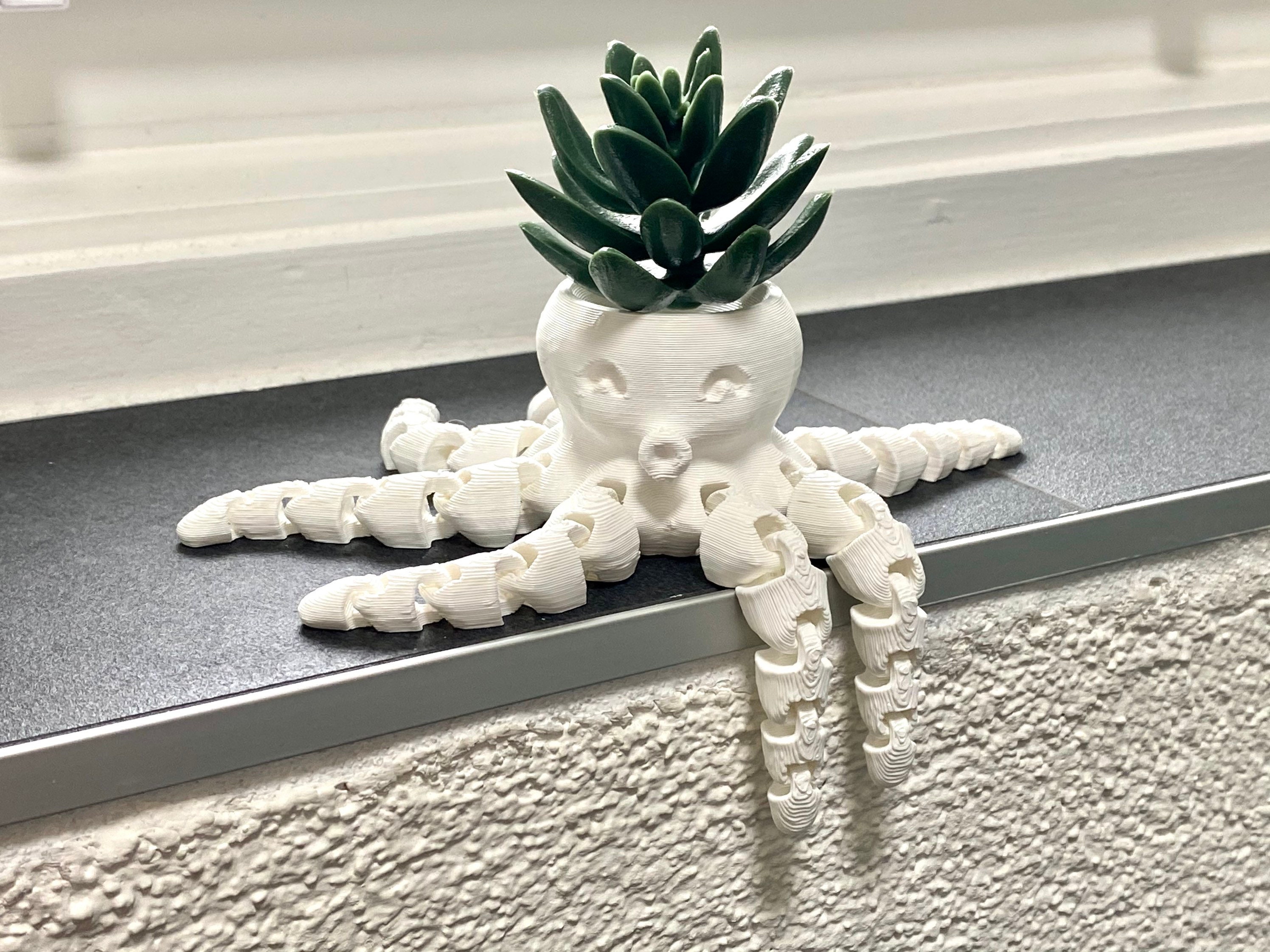 OCTOPUS PLANTER, AIR Plant Planter, Houseplant White Animal Succulent ...