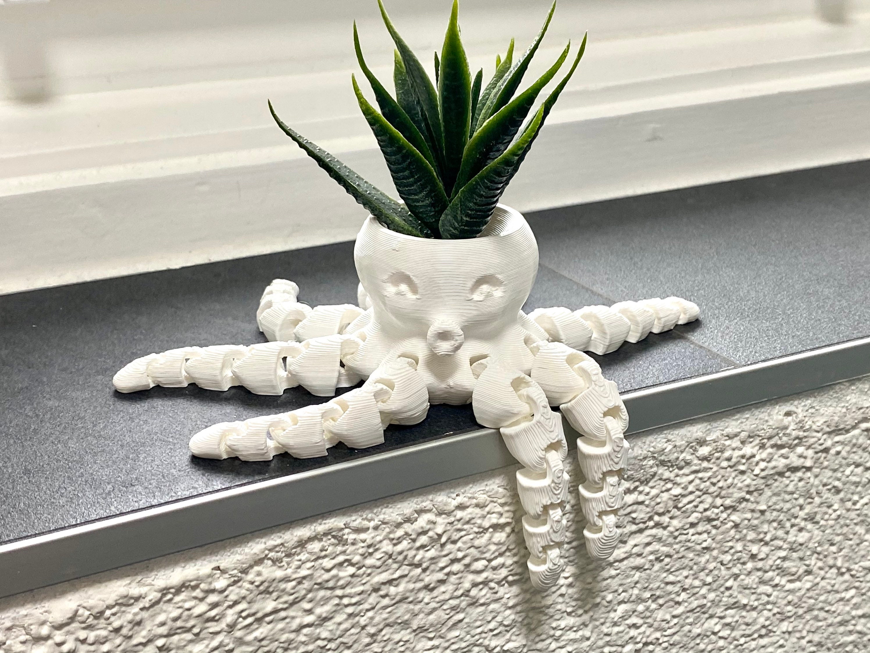 OCTOPUS PLANTER, AIR Plant Planter, Houseplant White Animal Succulent ...