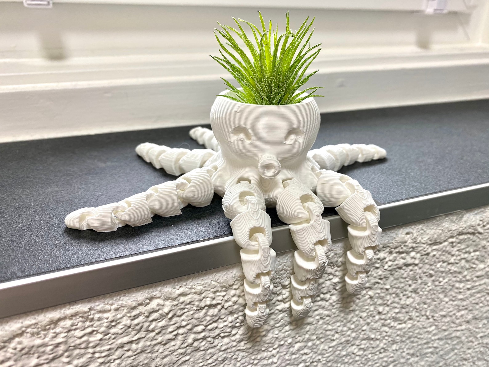 OCTOPUS PLANTER, AIR Plant Planter, Houseplant White Animal Succulent ...