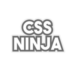 CSS Ninja - Geeky Laptop Sticker Decal for Tecchies, Nerds & Coders - Etsy