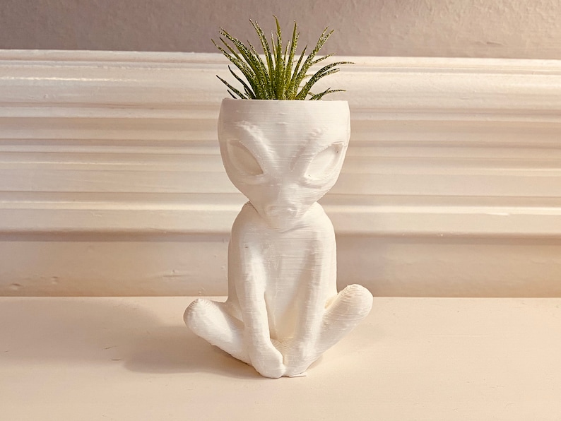 Grumpy Alien Air Plant Holder / Airplant Pot. Unique Gift. | Etsy