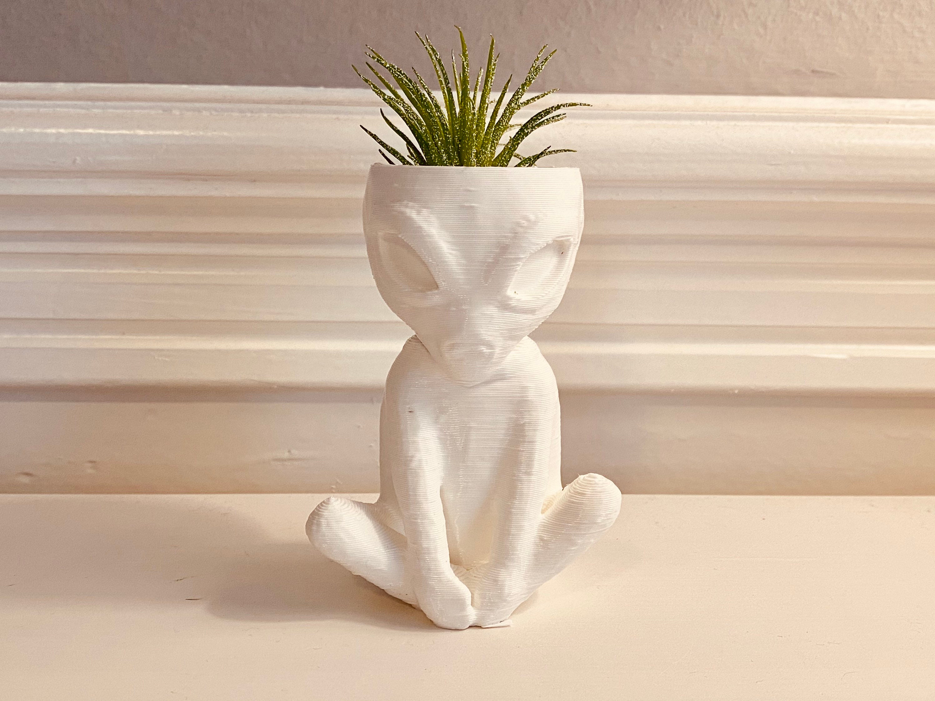 Grumpy Alien Air Plant Holder / Airplant Pot. Unique Gift. Beautiful ...