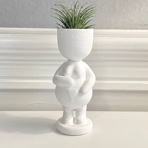 Pregnant Patty Air Plant Holder / Airplant Pot. Unique Congratulations ...