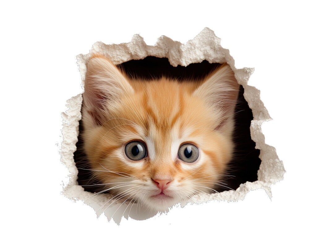 Cute Peek-a-boo Kitten Wall Decal Sticker - Adorable Wall Decor for ...