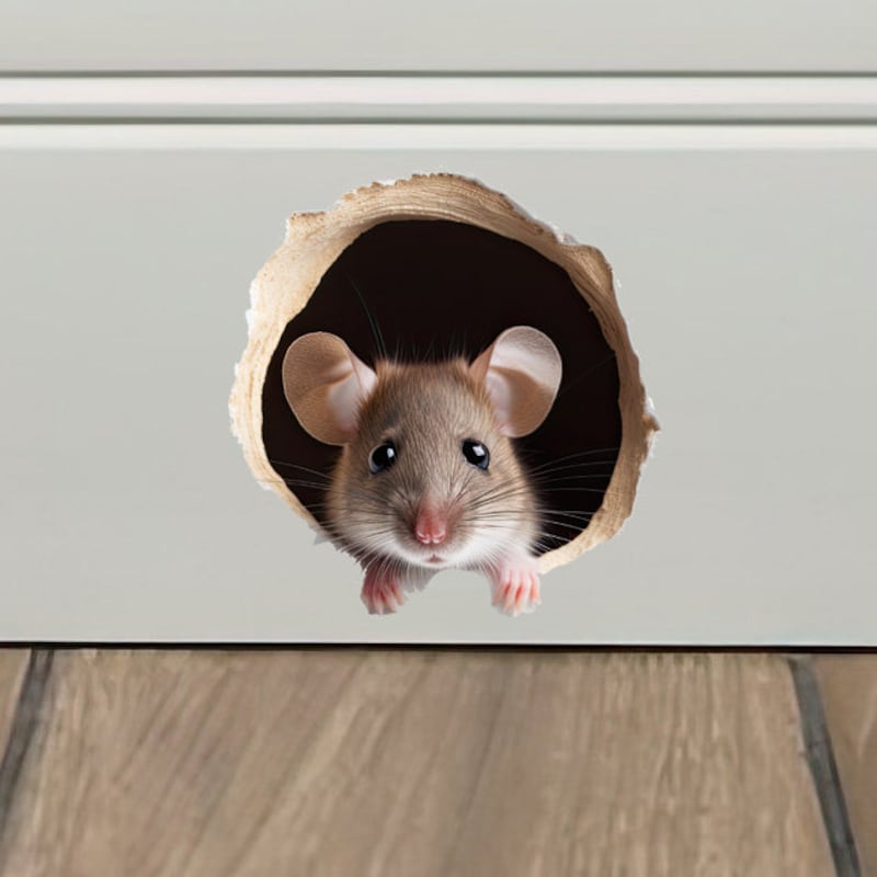 Tiny Animal Wall Decals - Etsy