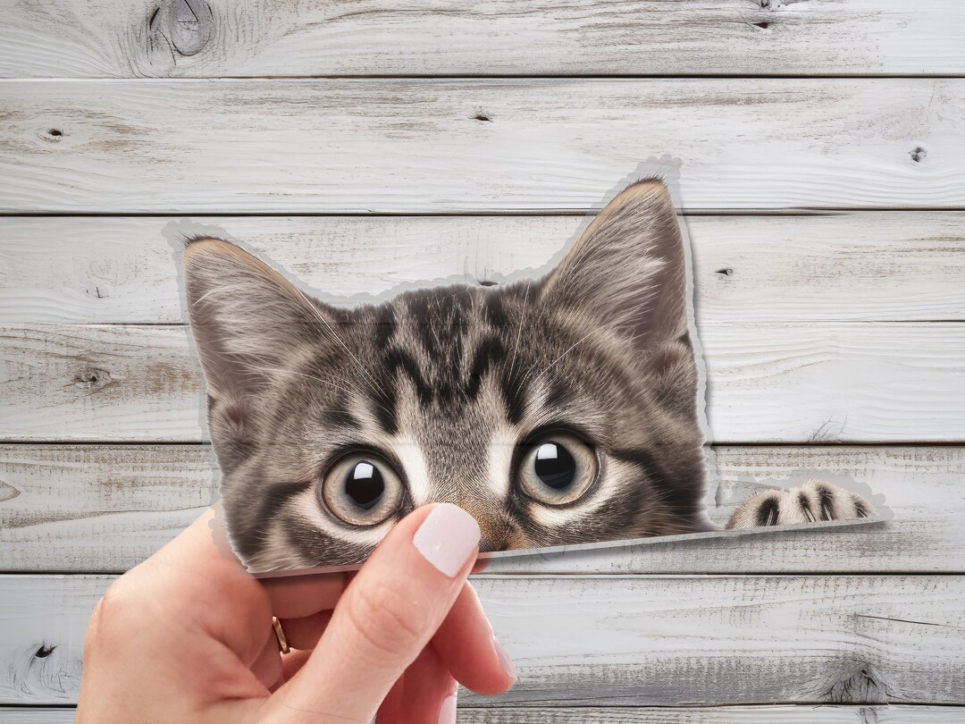 Peeking Cat Wall Decal - Enchanting Wall Decor for Cat Lovers ...