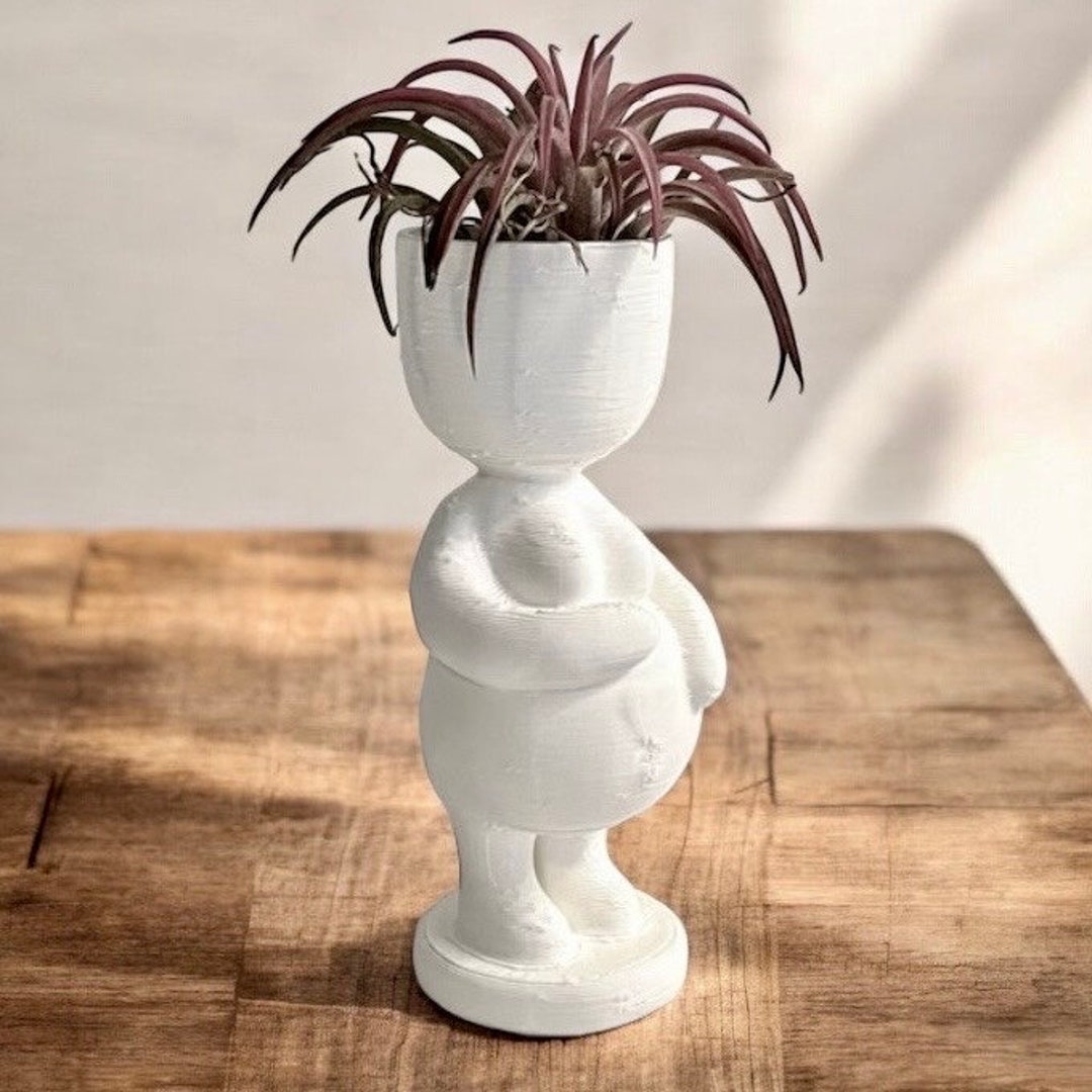 Pregnant Patty Air Plant Holder / Airplant Pot. Unique Congratulations ...