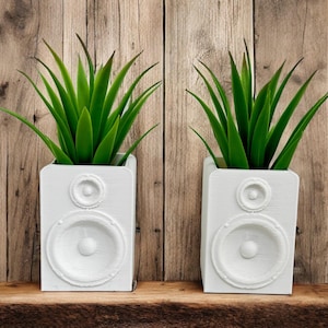 Music Speaker Air Plant Holder. Succulent Planter / Airplant Holder for ...