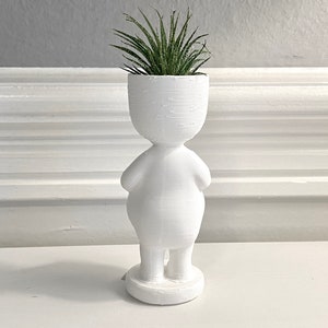 Pregnant Patty Air Plant Holder / Airplant Pot. Unique Congratulations ...