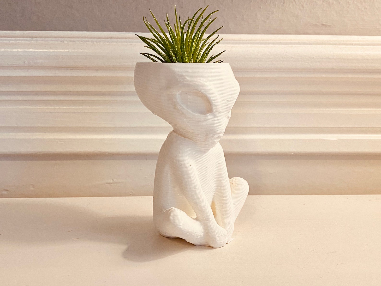 Grumpy Alien Air Plant Holder / Airplant Pot. Unique Gift. | Etsy