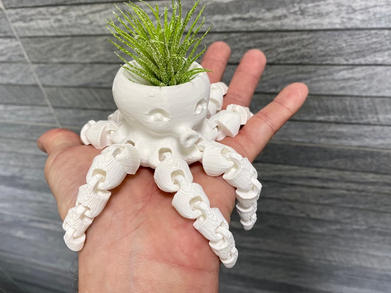 OCTOPUS PLANTER, AIR Plant Planter, Houseplant White Animal Succulent ...