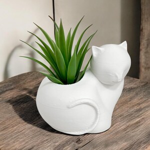 Adorable Cat Air Plant Stand - 3D Printed Cozy Planter - Perfect Gift ...