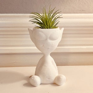 Happy Alien Air Plant Holder / Airplant Pot. Unique Gift. Beautiful ...