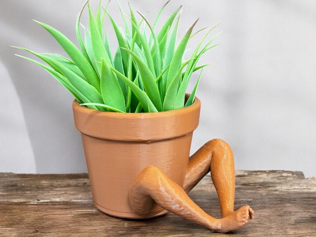 Leggy Planter Pot | Funny Legs Gift for Friends | 3D Printed Succulent ...