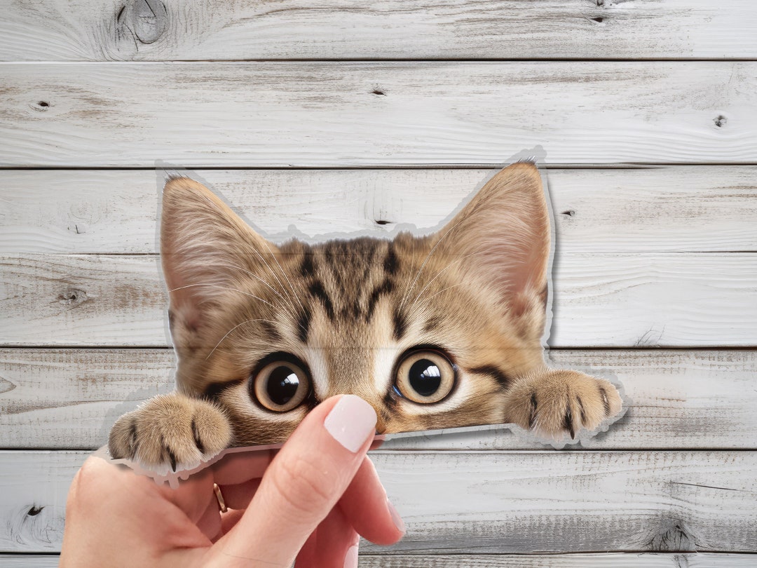 Cute Peeking Cat Wall Decal - Enchanting Wall Decor for Cat Lovers ...