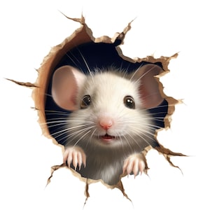 Mouse Sticker for Wall, Mouse Wall Decal, Mouse Vinyl Sticker, Nursery ...