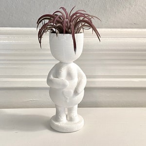 Pregnant Patty Air Plant Holder / Airplant Pot. Unique Congratulations ...