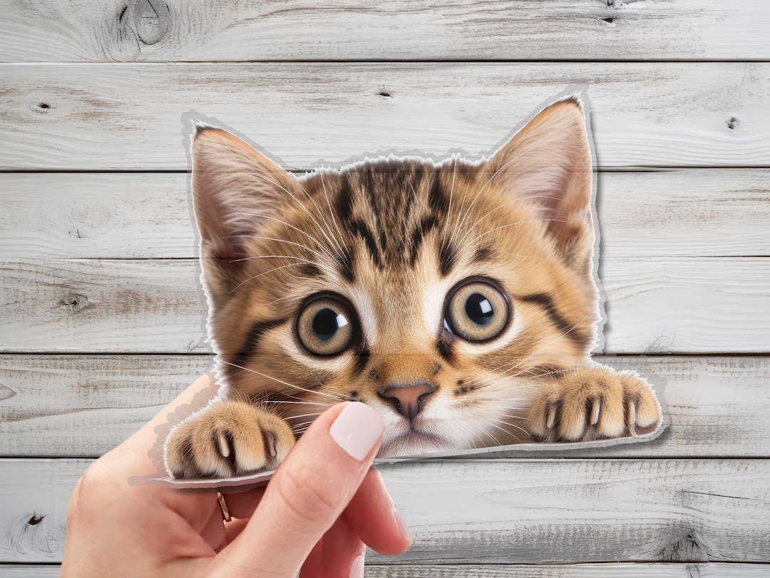Cute Peeking Cat Wall Decal - Enchanting Wall Decor for Cat Lovers ...