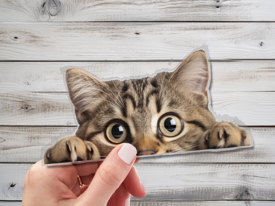 Cute Peeking Cat Wall Decal - Enchanting Wall Decor for Cat Lovers ...