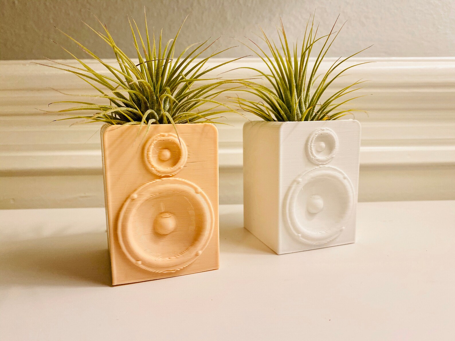 Music Speaker Air Plant Holder. Succulent Planter / Airplant - Etsy