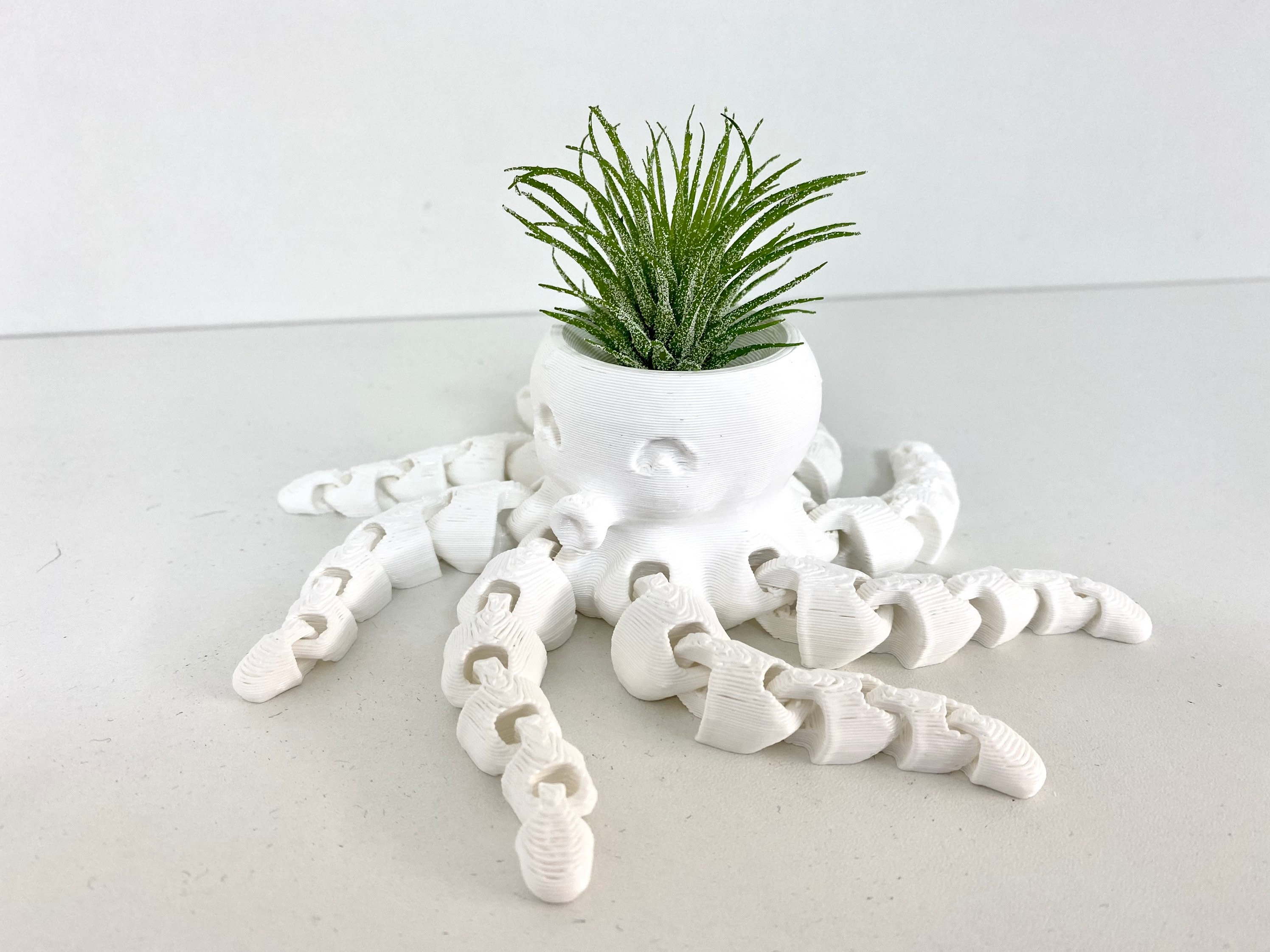 OCTOPUS PLANTER, AIR Plant Planter, Houseplant White Animal Succulent ...