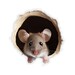 Mouse Vinyl Sticker, Mouse Hole Decal Sticker for Wall, Nursery Mouse ...