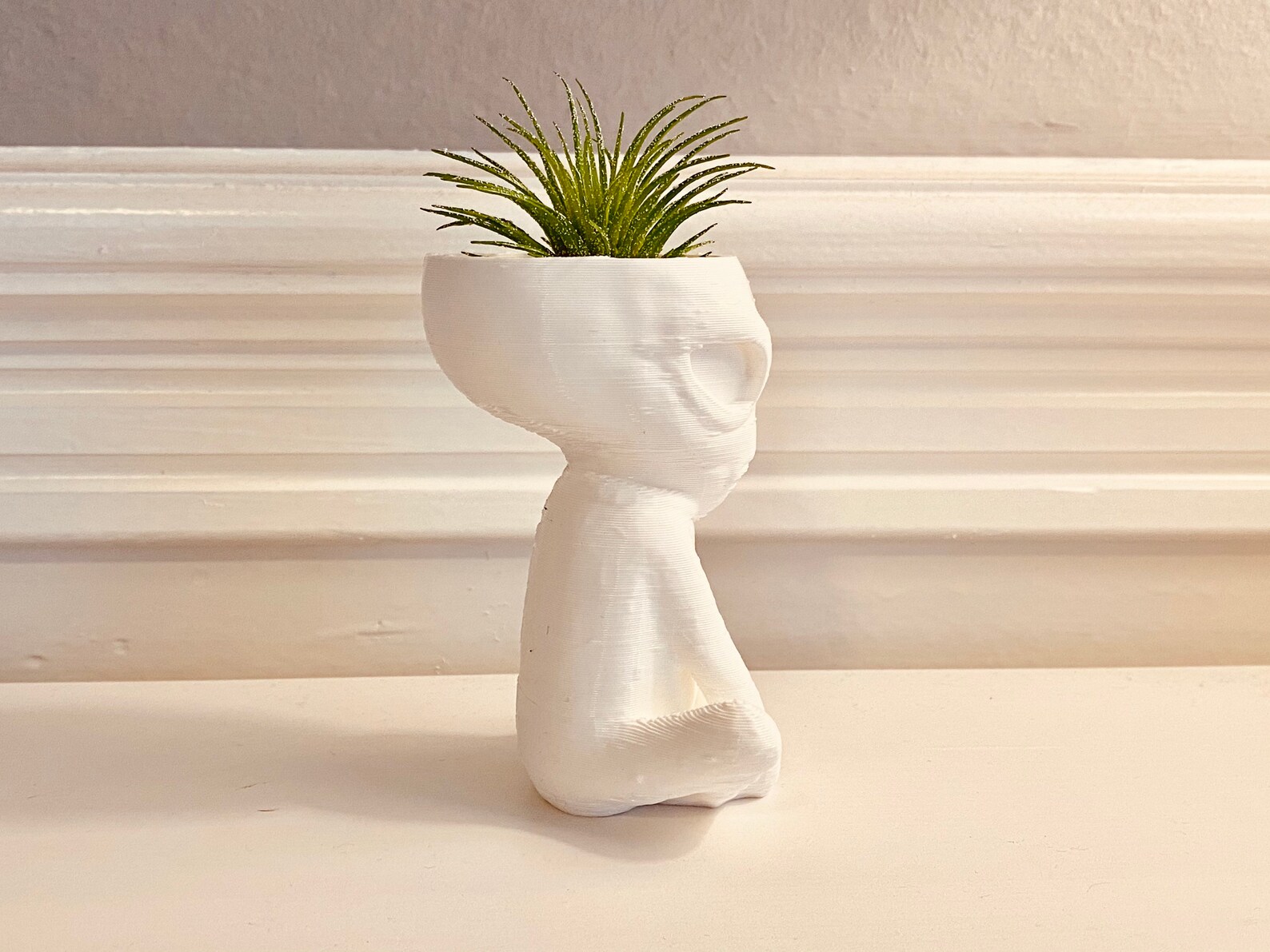 Grumpy Alien Air Plant Holder / Airplant Pot. Unique Gift. - Etsy