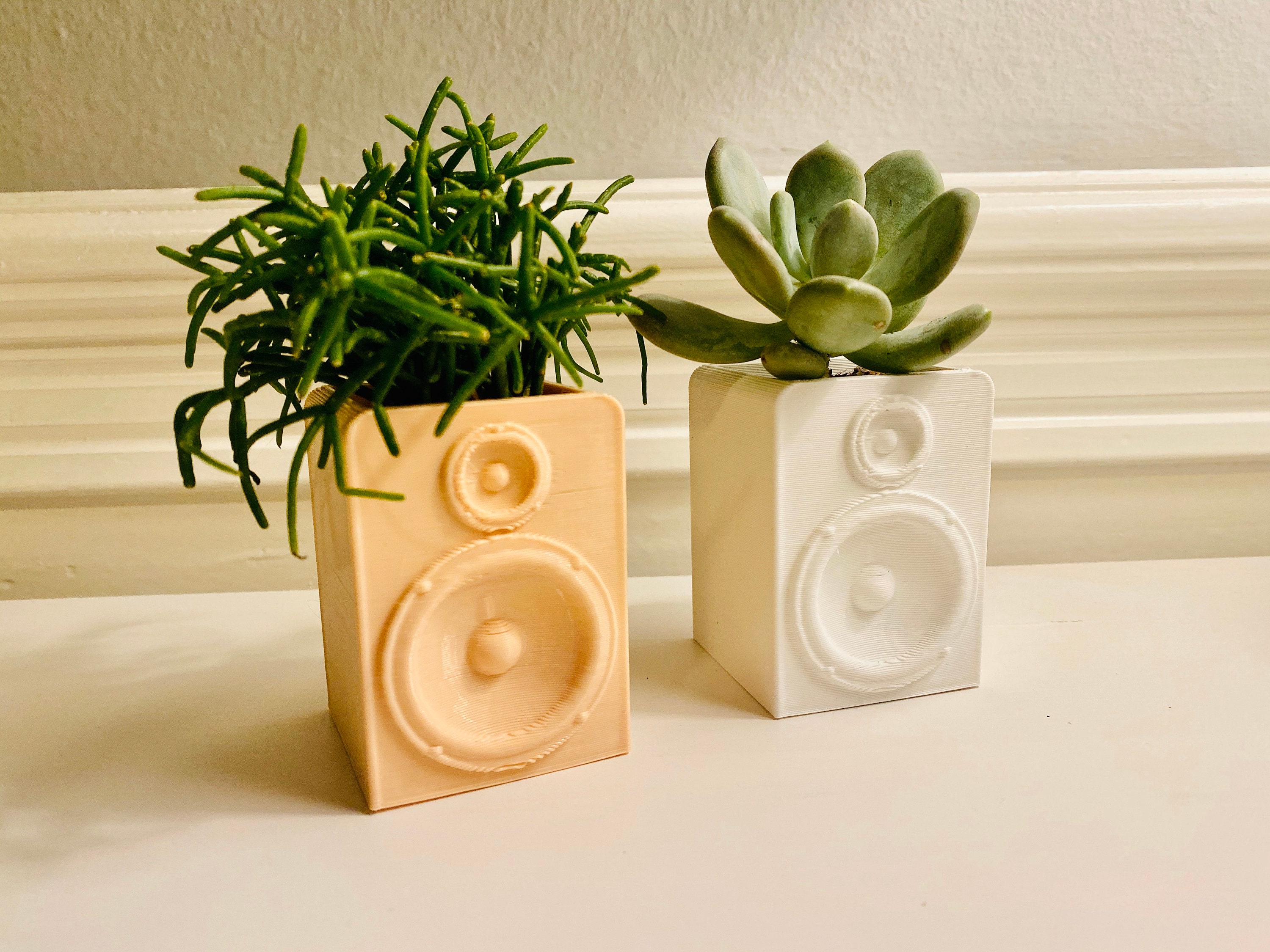 Music Speaker Air Plant Holder. Succulent Planter / Airplant - Etsy