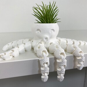 OCTOPUS PLANTER, AIR Plant Planter, Houseplant White Animal Succulent ...