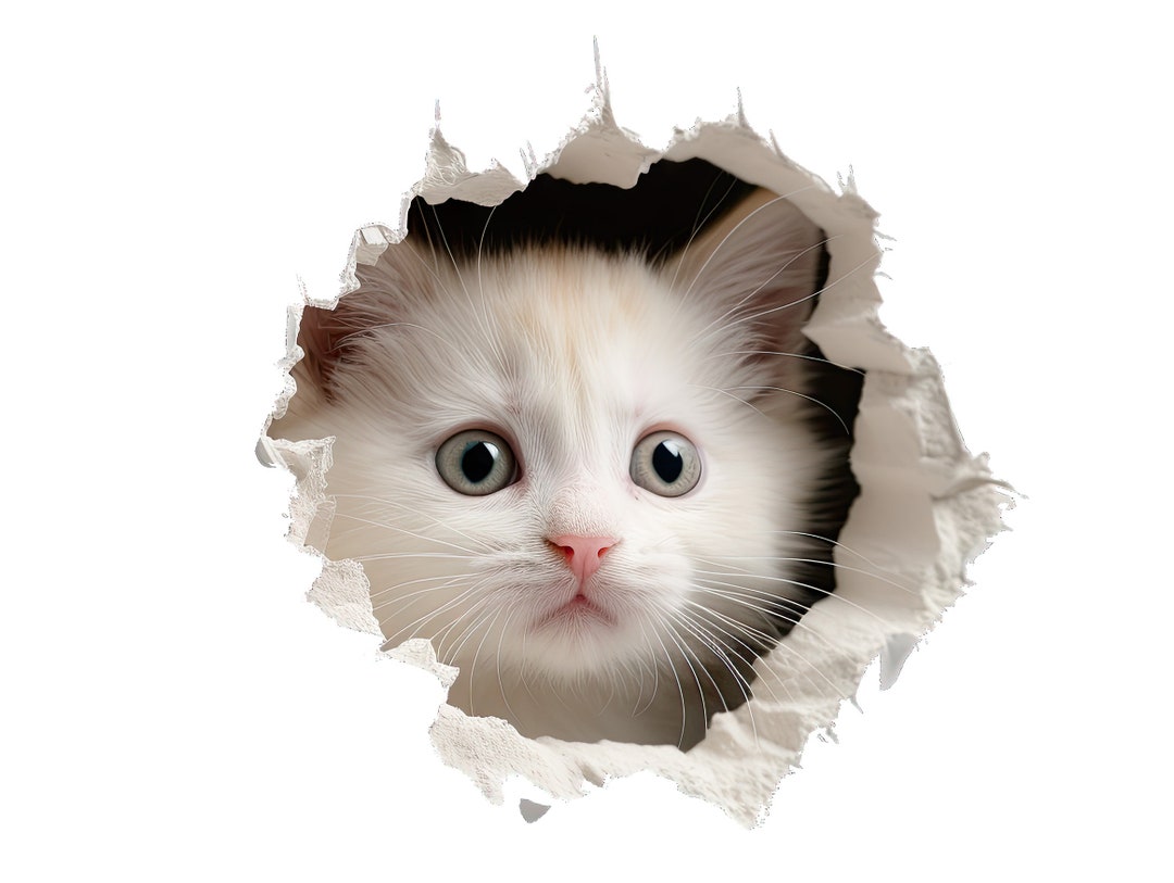 Cute Peek-a-boo Kitten Wall Decal Sticker - Adorable Wall Decor for ...