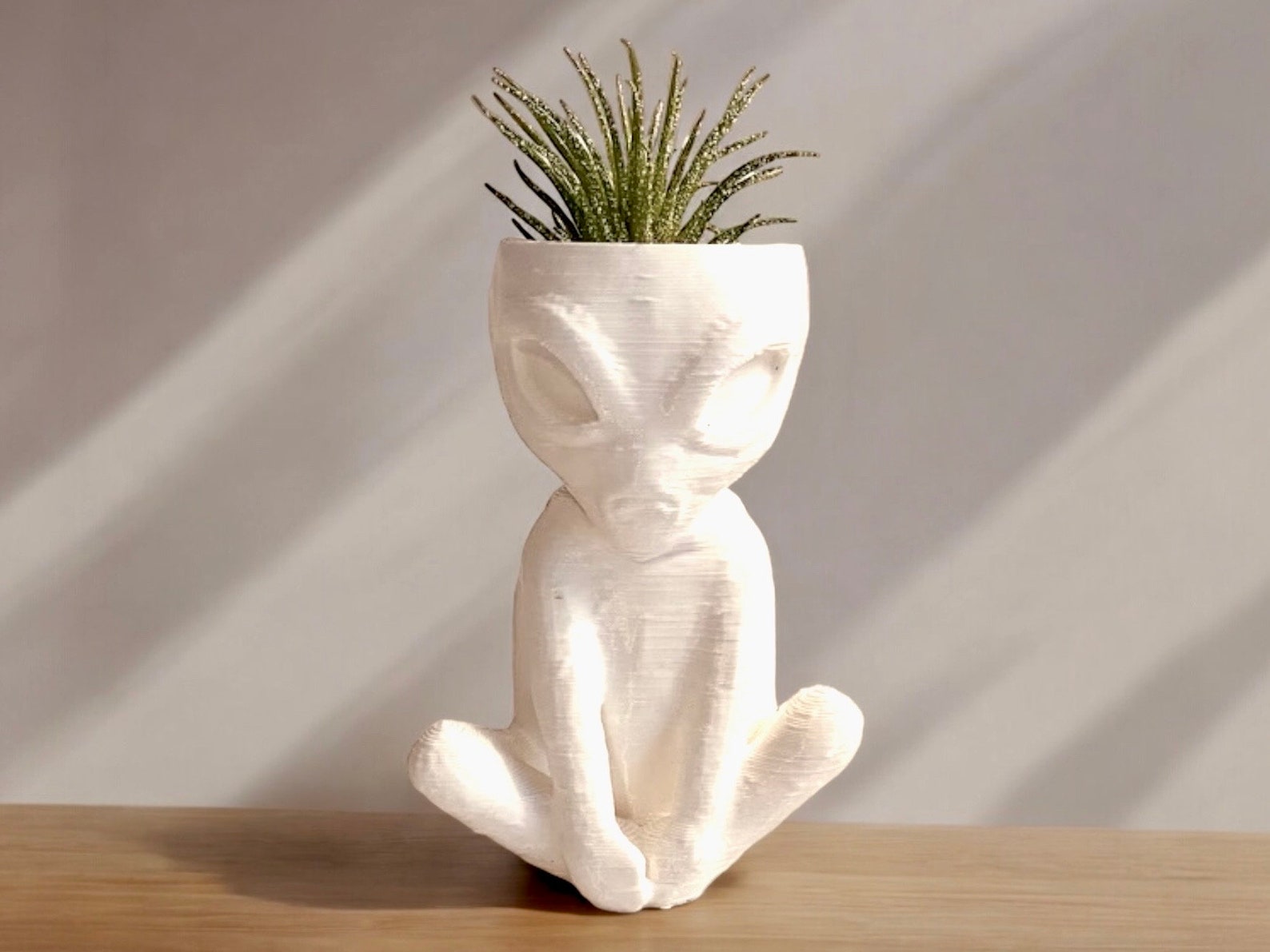 Grumpy Alien Air Plant Holder / Airplant Pot. Unique Gift. Beautiful ...