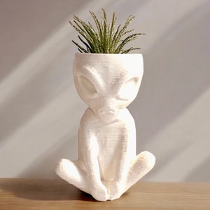 Grumpy Alien Air Plant Holder / Airplant Pot. Unique Gift. Beautiful ...