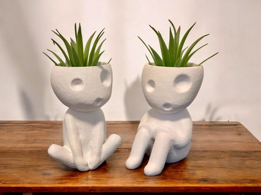 Airplant Holders "kooki & Keera" - Charming Japanese Folklore Tree ...