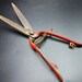 Vintage Red Handled Gardening Shears Old Grass Trimming Shears Pruning ...