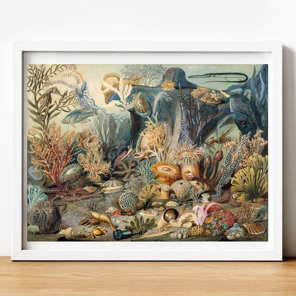 James Shell Art - Etsy