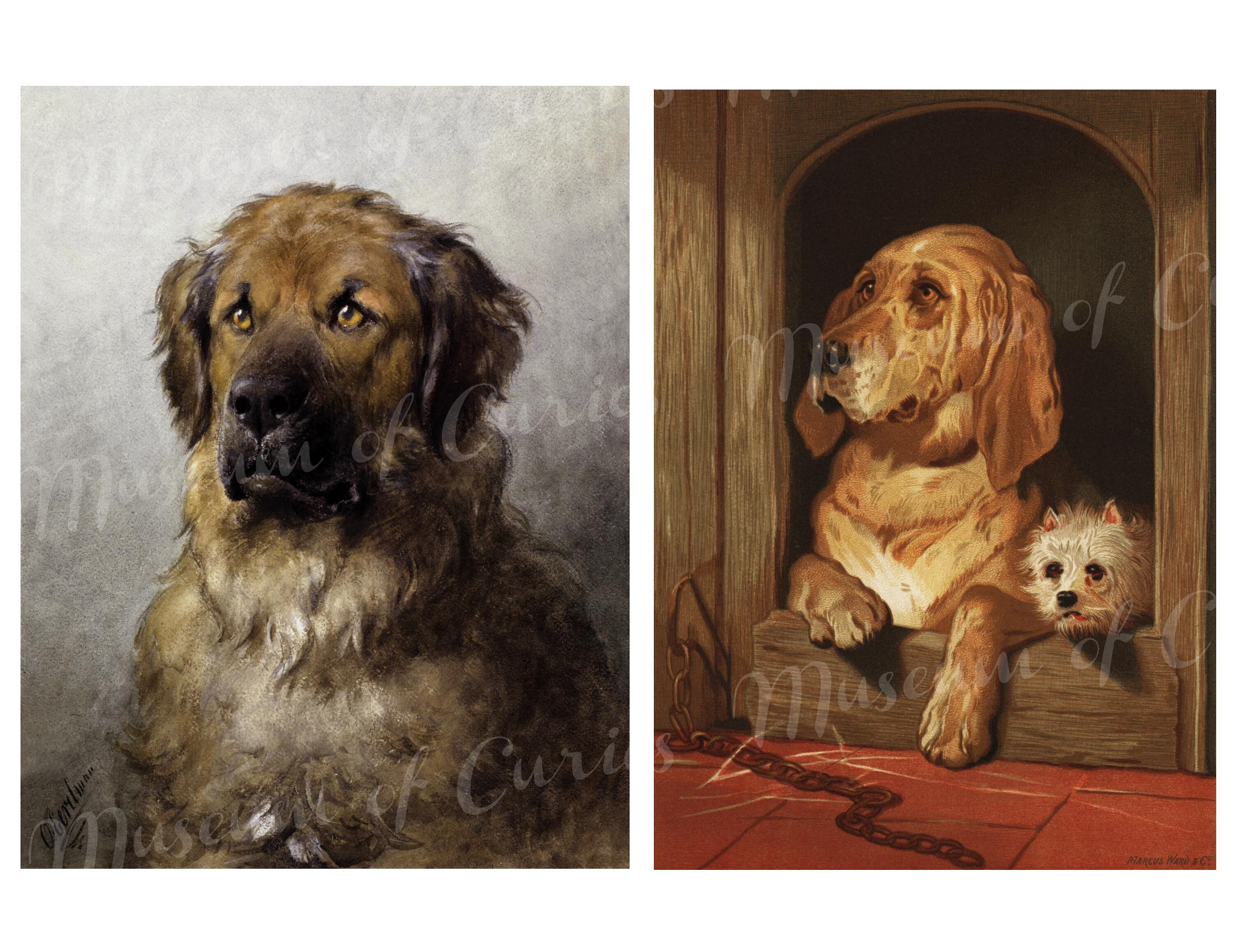 Digital Dogs and Cute Puppies Collage Sheets SET 1 42 - Etsy