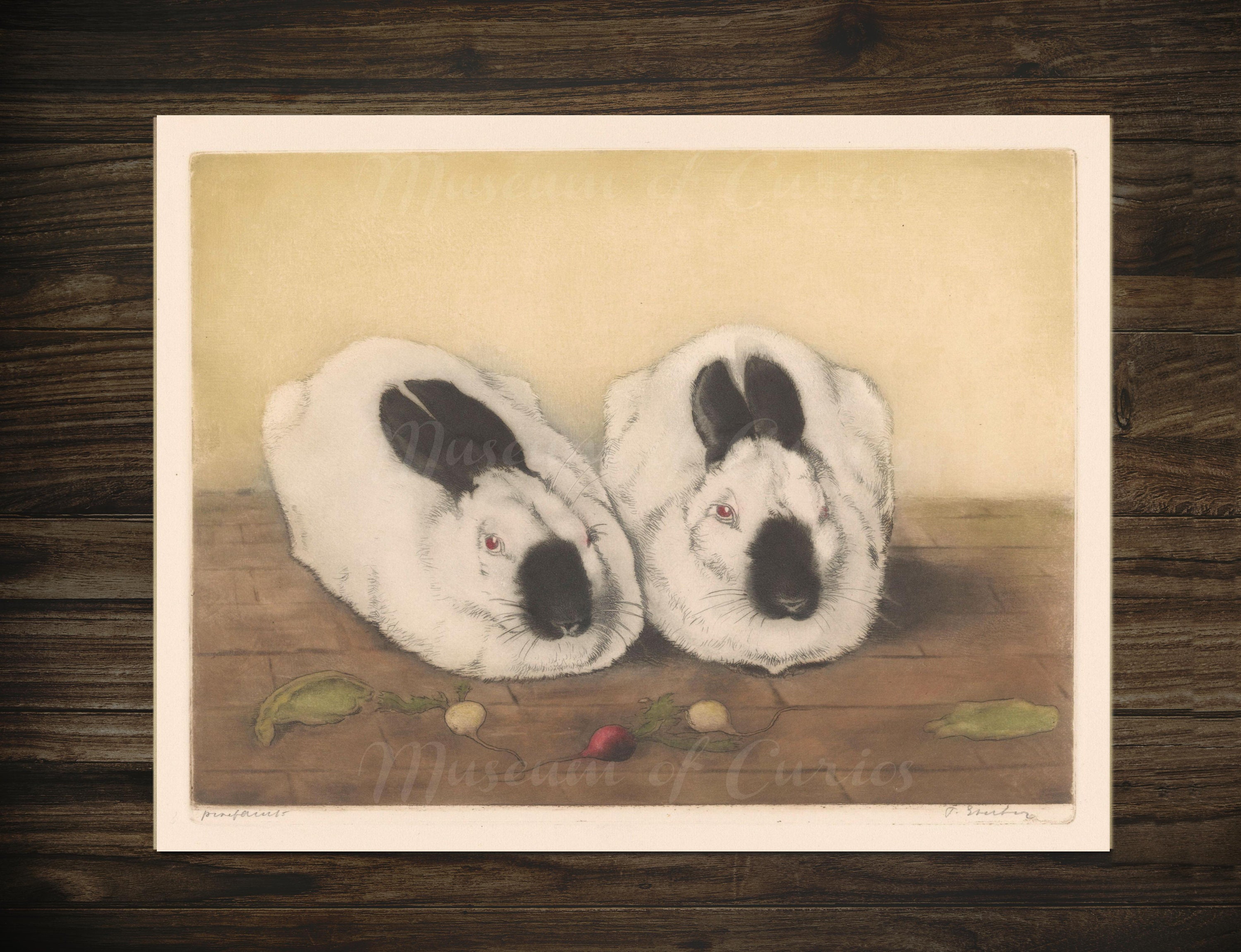 Digital, Late 1930s, Two Himalayan Rabbits, INSTANT DOWNLOAD, White ...