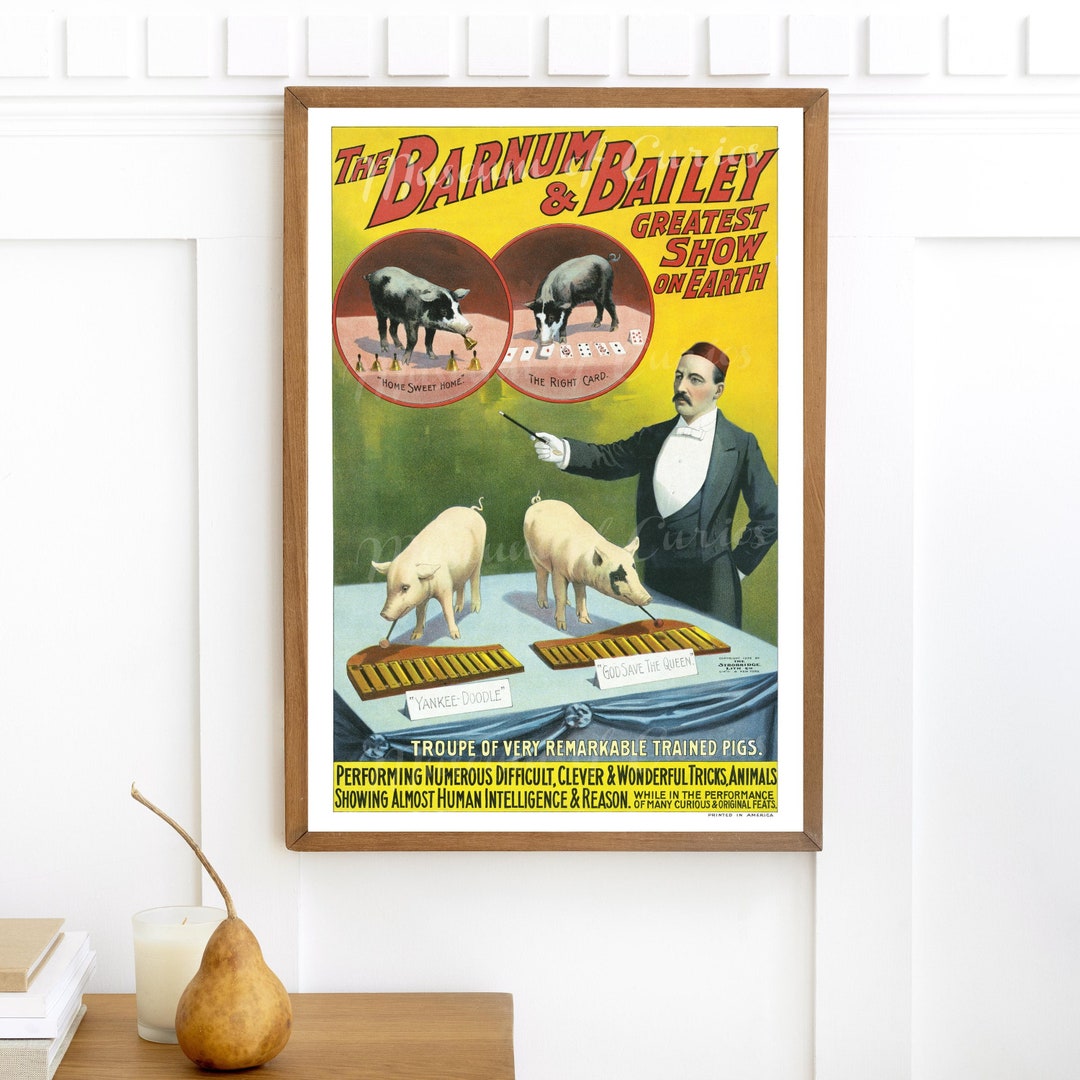 Barnum & Bailey Circus Poster: Trained Pigs Playing Xylophone (digital ...