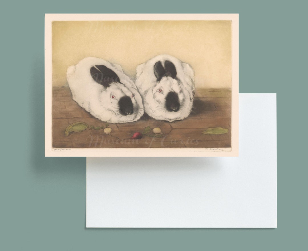 Digital, Late 1930s, Two Himalayan Rabbits, INSTANT DOWNLOAD, White ...