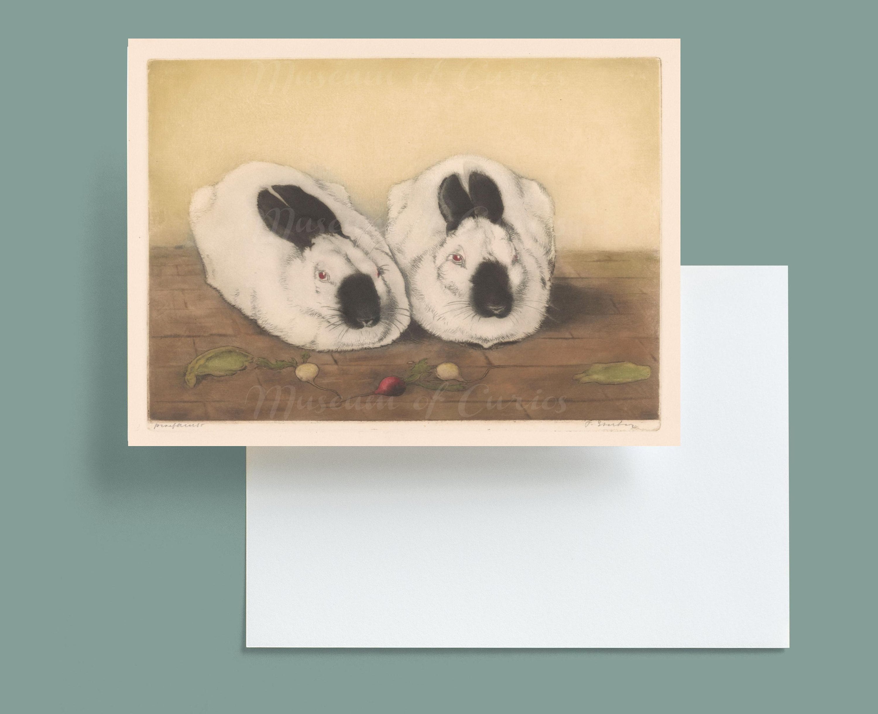 Digital, Late 1930s, Two Himalayan Rabbits, INSTANT DOWNLOAD, White ...