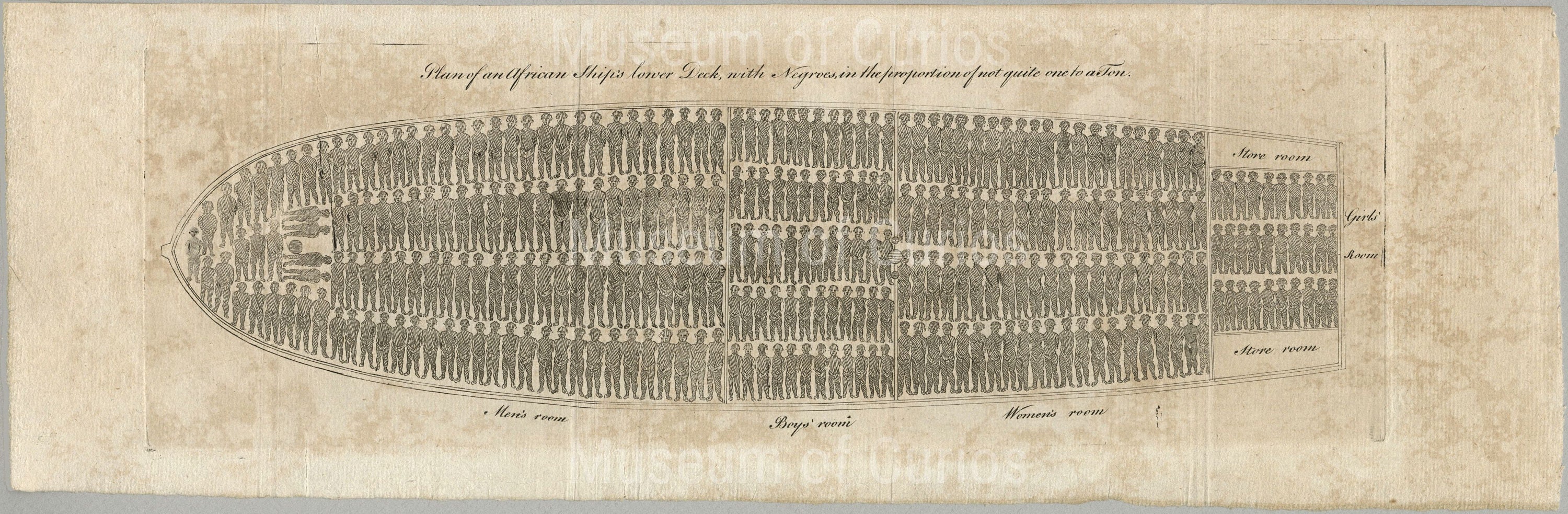 Digital, 1789, Plan of an African Slave Ship's Lower Deck, Ethnographic ...