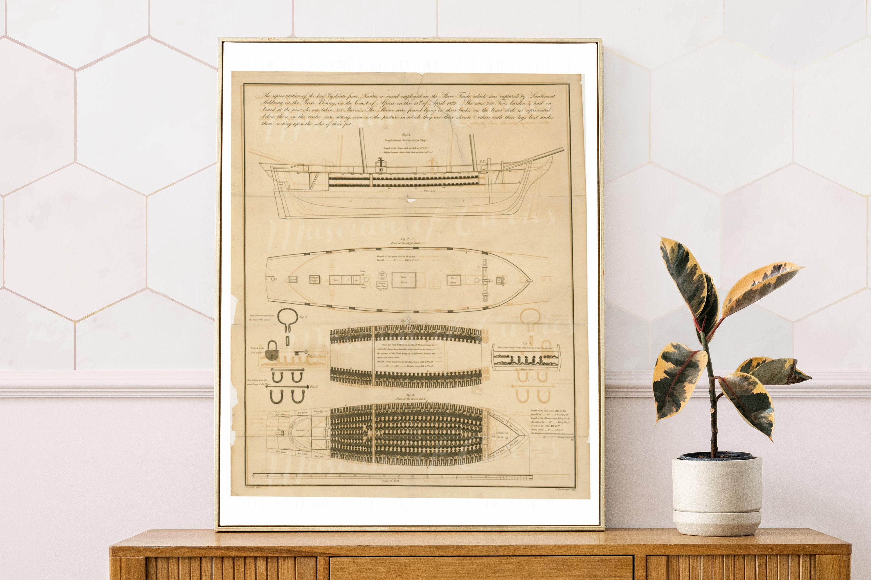 Digital, 1822, French Slave Ship, Drawing Plan, INSTANT DOWNLOAD, 19th ...