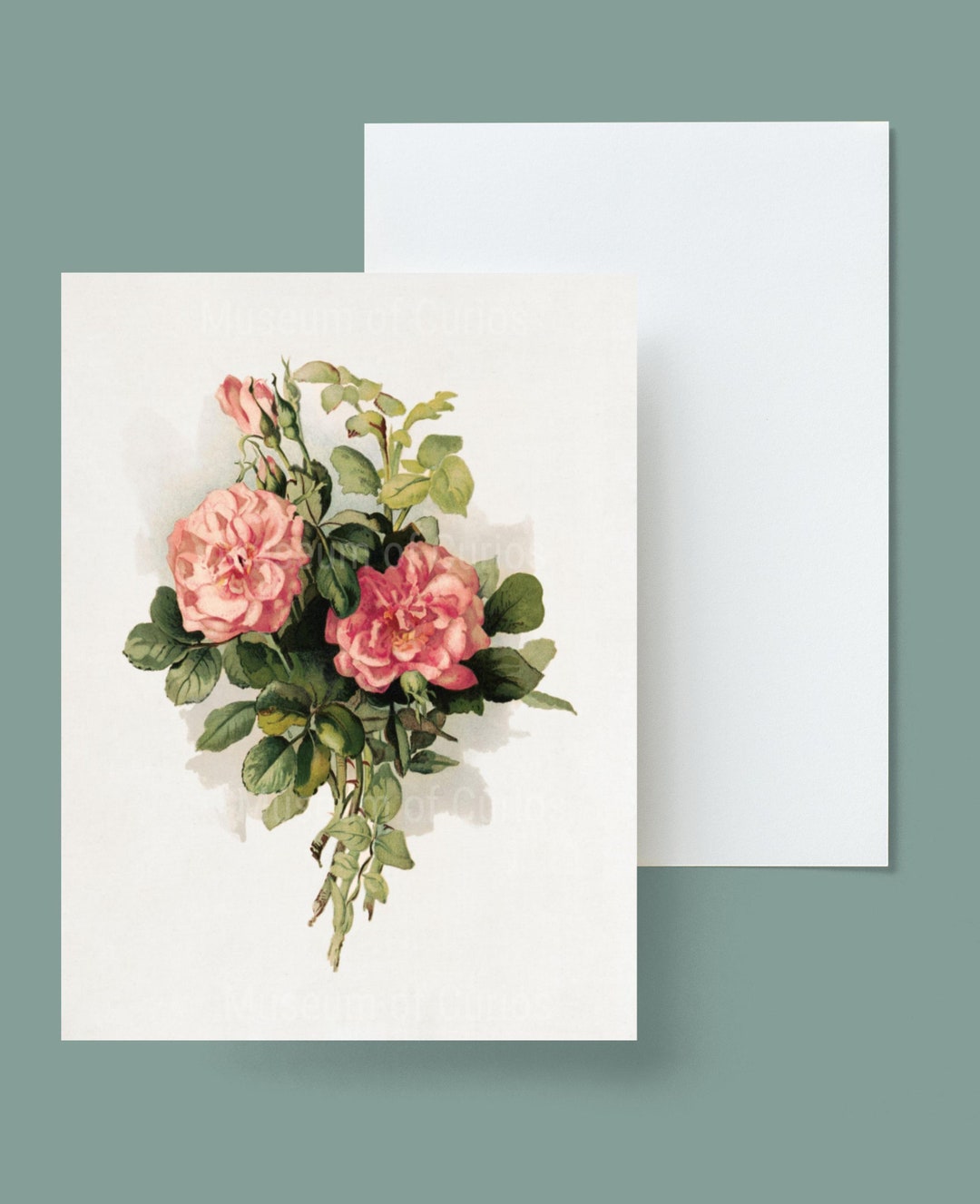 Vintage Blush Rose Card: 1890s Floral Greeting (digital Download) - Etsy