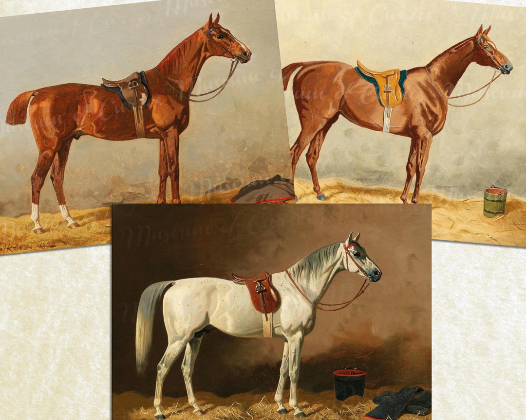 Numérique, trois Emil Volkers Horse Prints, 1892-1903, peintre équin ...
