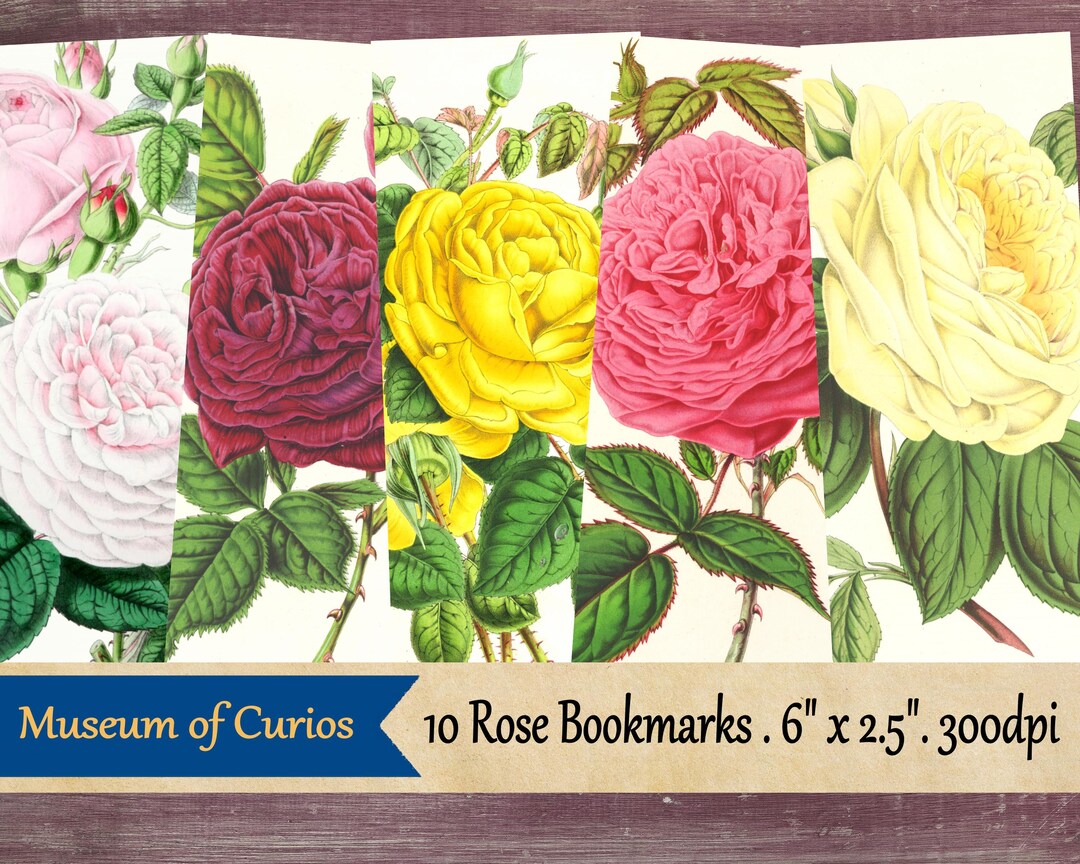 Rose Bookmarks: Pink, Purple, Red, Yellow Floral Art (digital Download ...