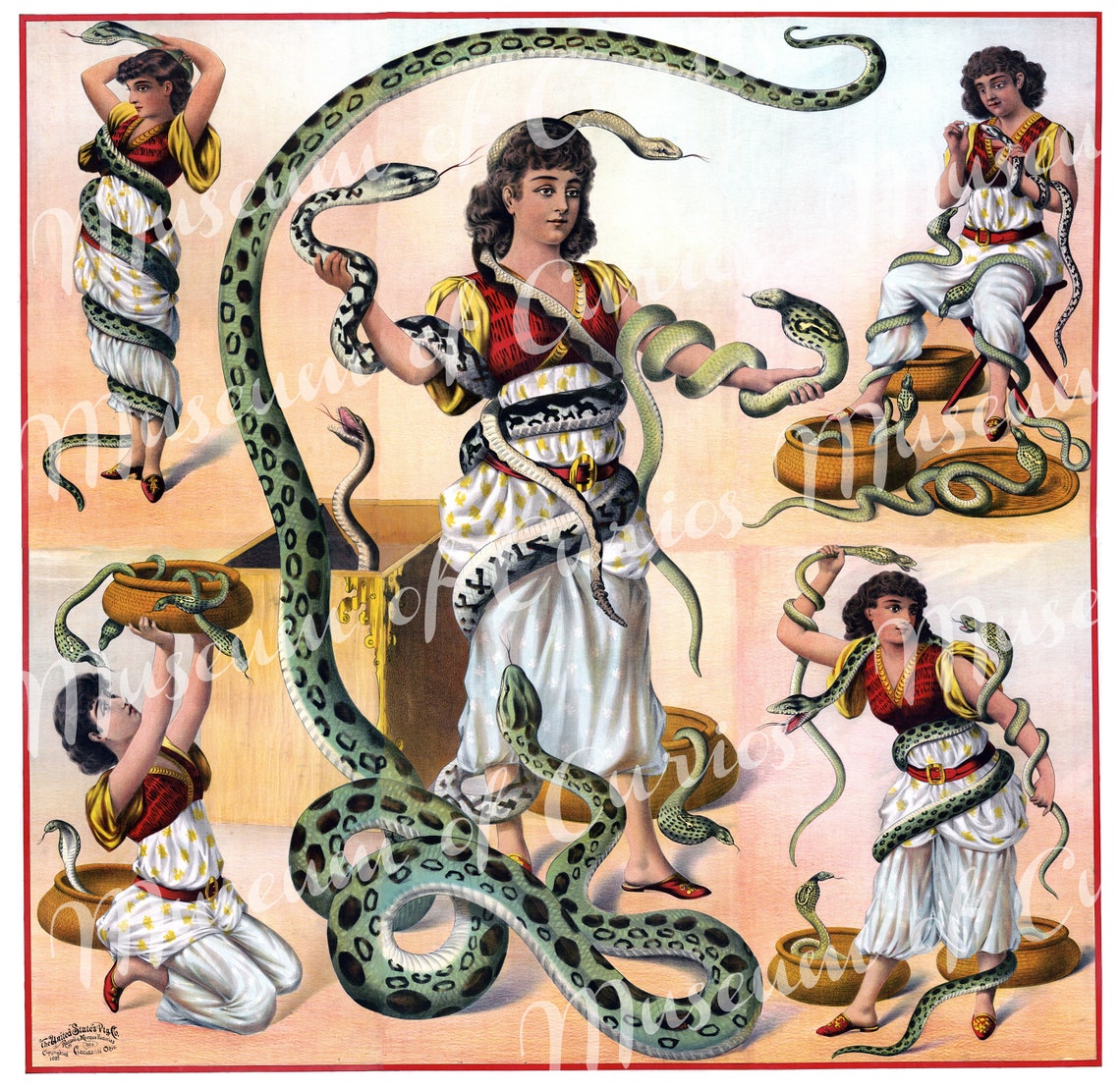 Digital 1892 Snake Woman Snake Lady Vintage Circus Poster - Etsy